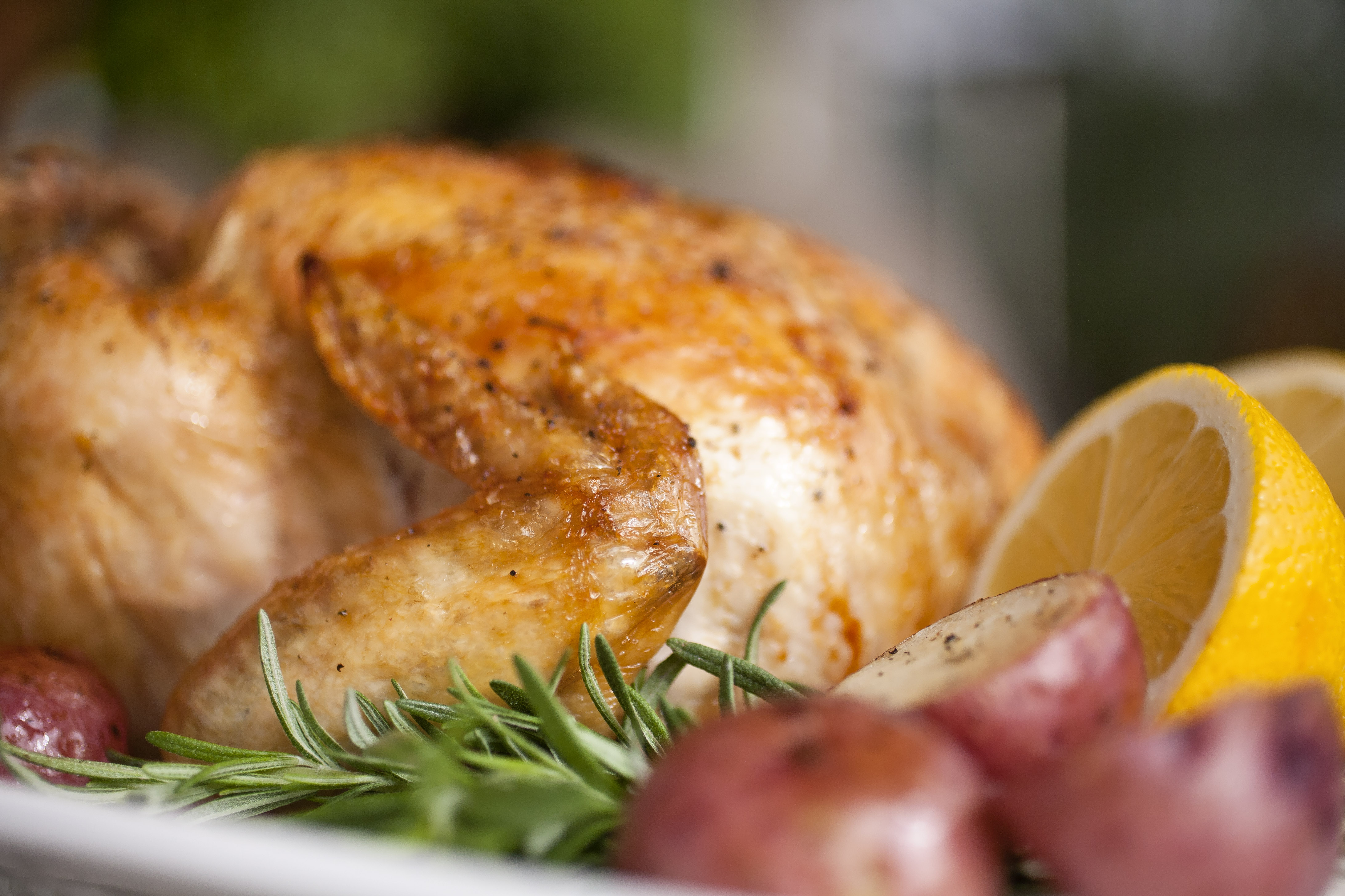 Chicken Fat - Denise Canellos, MS, CNS